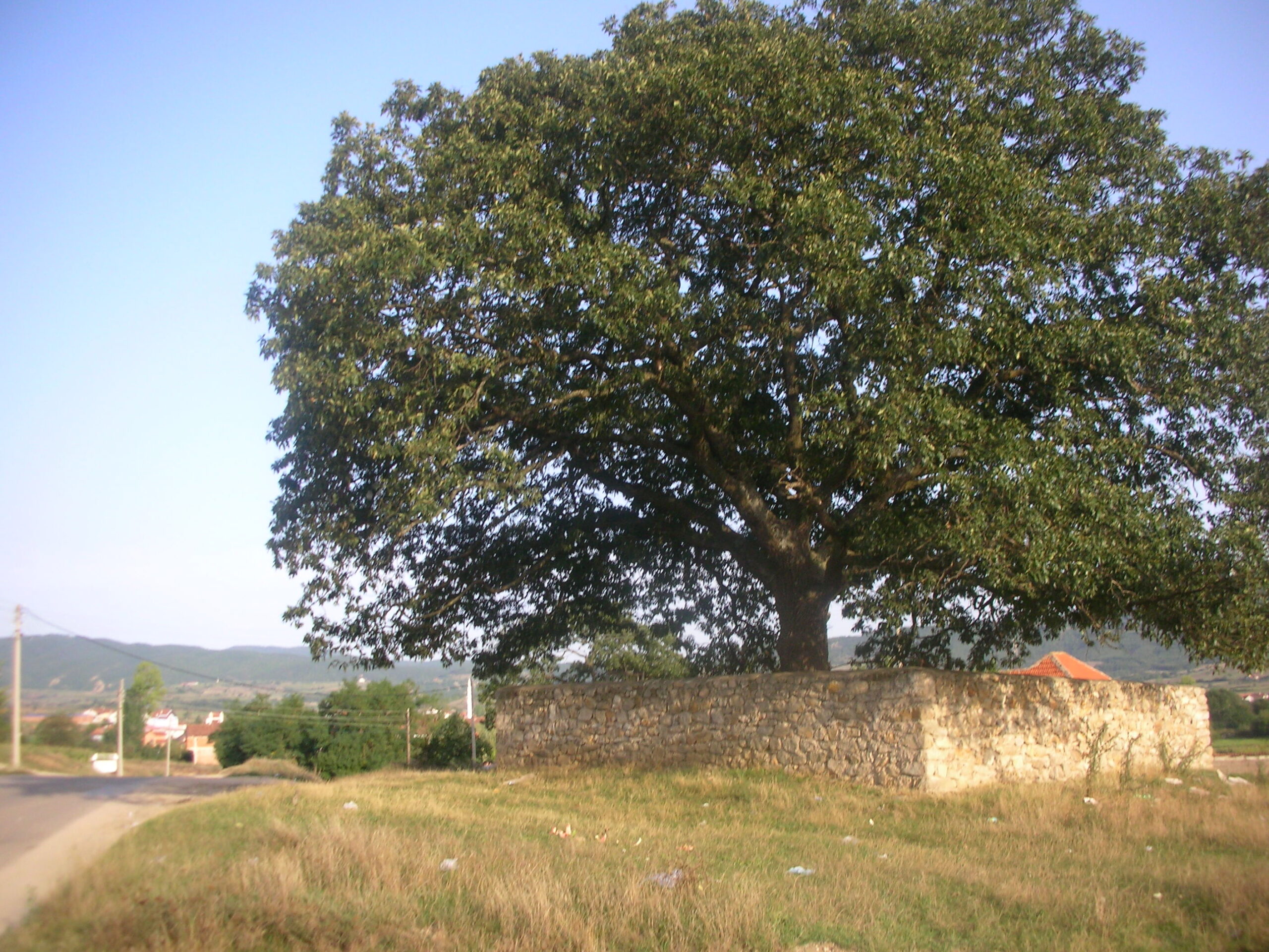 Kremtja e Shën Gjergjit në Roganë (Rogaçicë) të Dardanës - Info Rogana